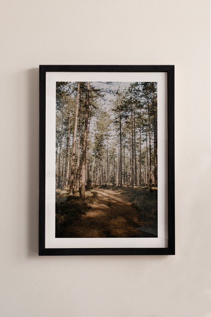 Nature Photography Collection Forest No2 Premium Poster - Εκτύπωση ...