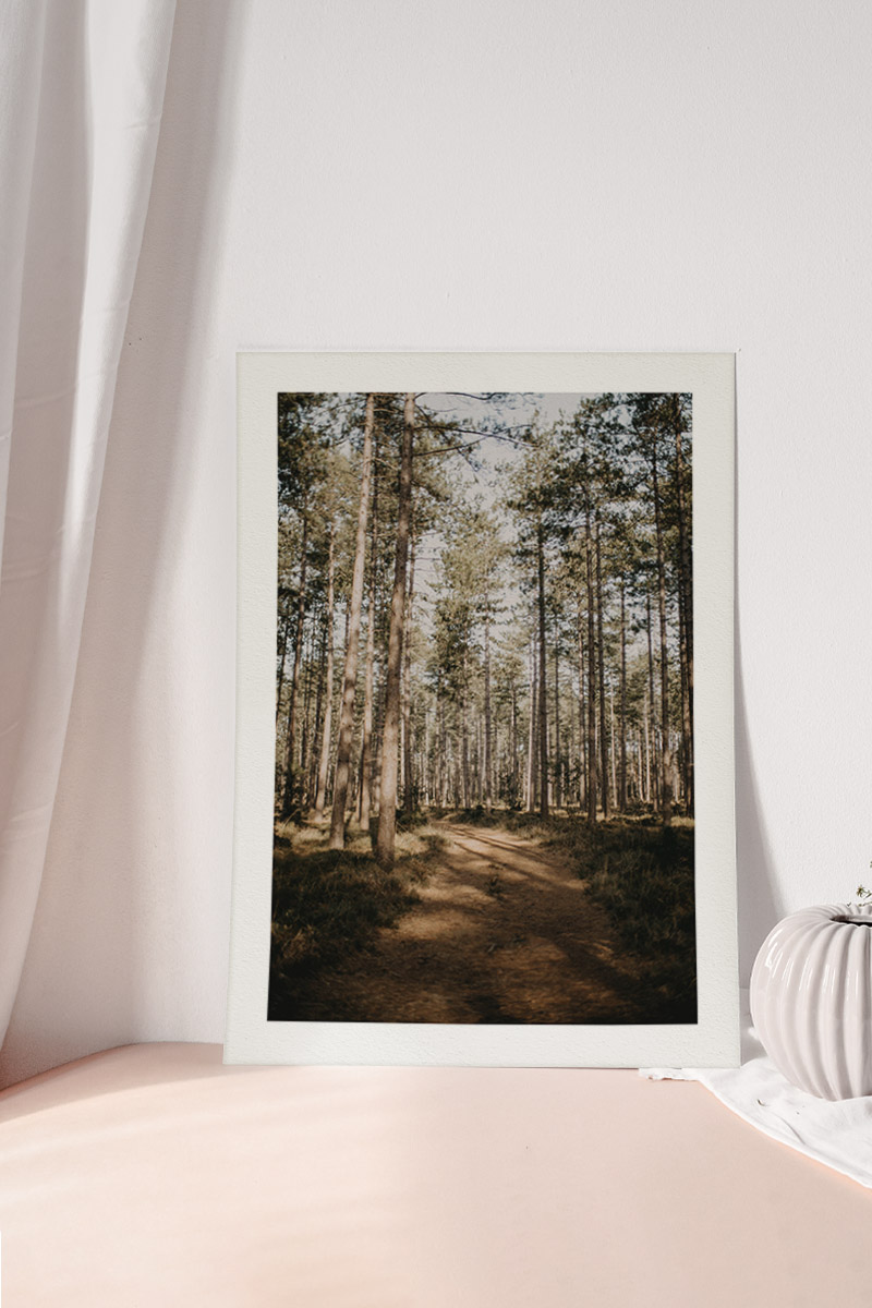 Nature Photography Collection Forest No2 Premium Poster - Εκτύπωση ...