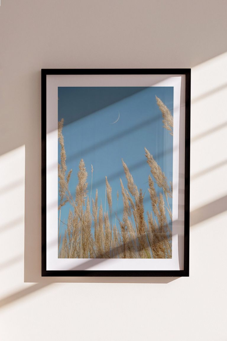 Nature Photography Collection Plants No10 Premium Poster - Εκτύπωση ...